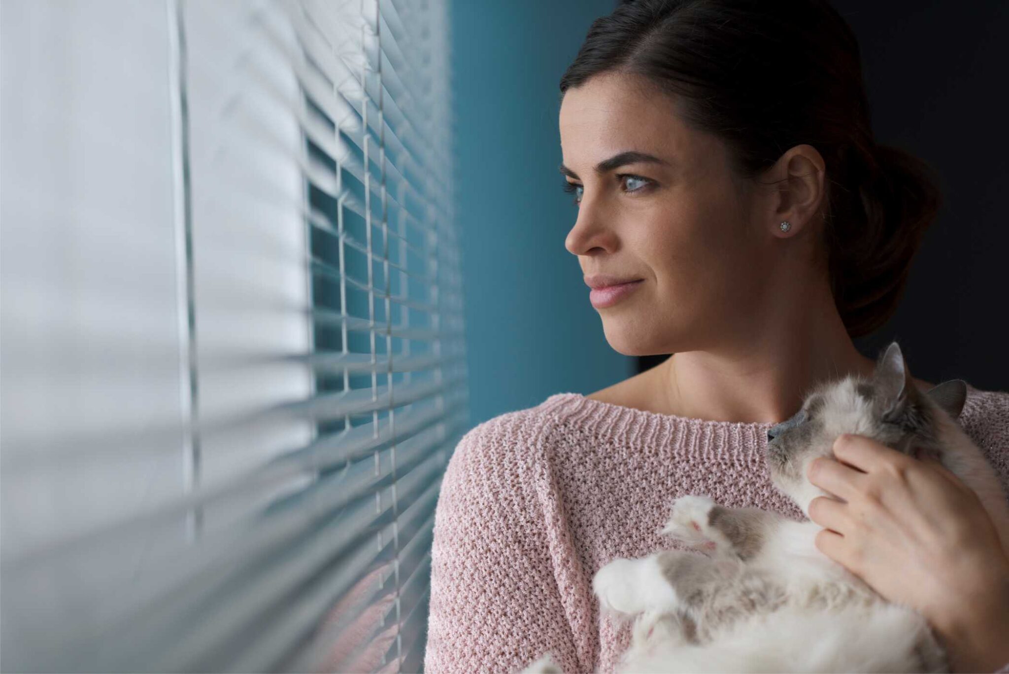 Aluminium Venetian Blinds – Silver Blinds